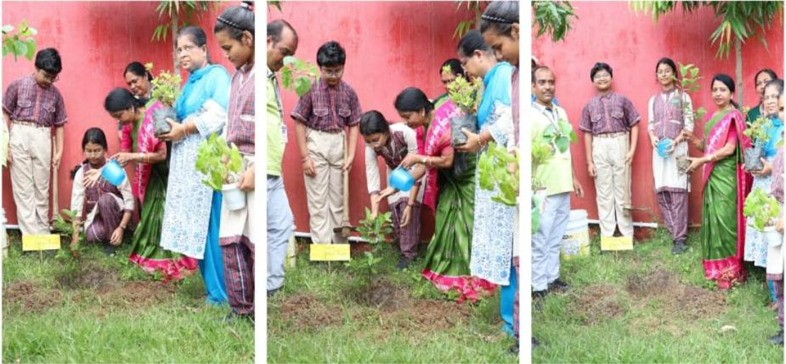 DAV Public School, CDA, Cuttack, Odisha